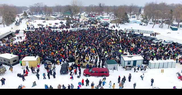 Perch Extravaganza 2019 | Fishing | messagemedia.co