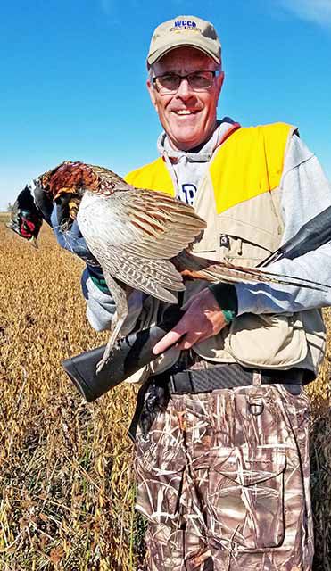 Early season pheasants | Hunting | messagemedia.co