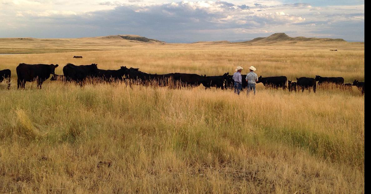 Ranching for Profit — business of ranching workshops draws crowds ...