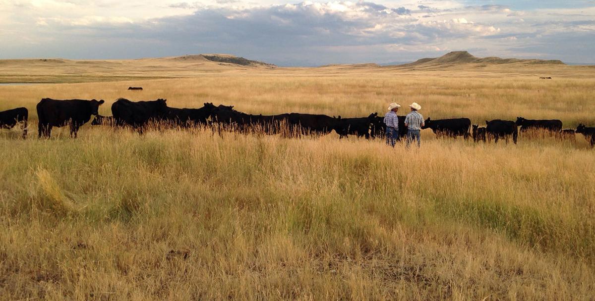 Ranching for Profit — business of ranching workshops draws crowds ...