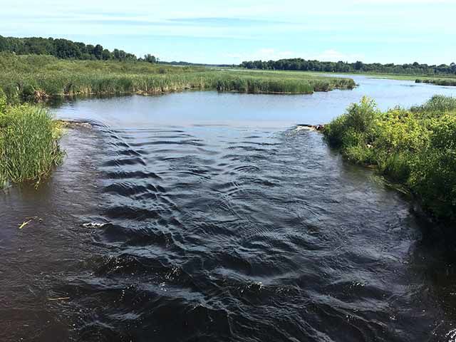 Biggest rain and bog by a dam site | Outdoors | messagemedia.co