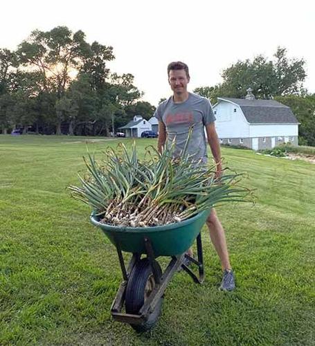 Onamia alumna brings heirloom garlic crops to her fourth-generation ...