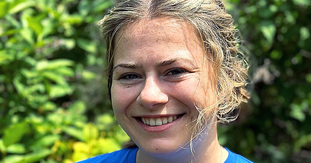 Create a pollinator planting | Columns/Blogs | messagemedia.co