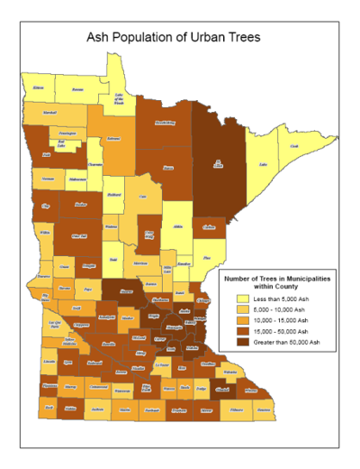 The fight against emerald ash borer | Local | messagemedia.co