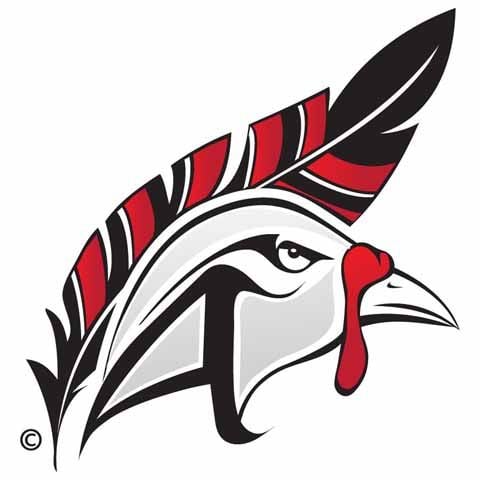 If Aitkin Schools were to go with an official Gobbler logo, which one ...