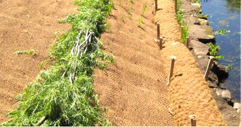 Do-It-Yourself Projects To Protect Your Shoreline | Outdoors ...