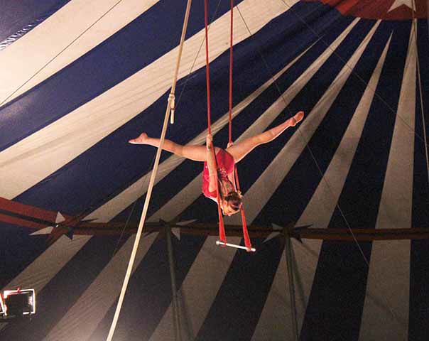 Acrobats and circus acts | Features | messagemedia.co