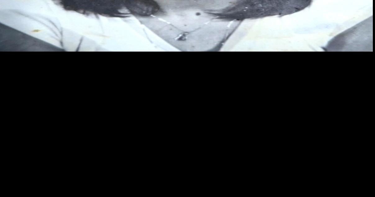 Laura MacLean | Obituaries | messagemedia.co