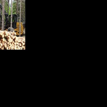 The Woodrow Family Tree farm | Features | messagemedia.co