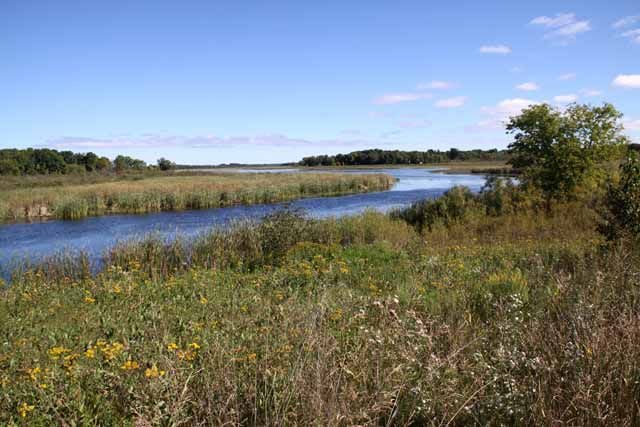 Ricing is a no-go on area lakes | Outdoors | messagemedia.co