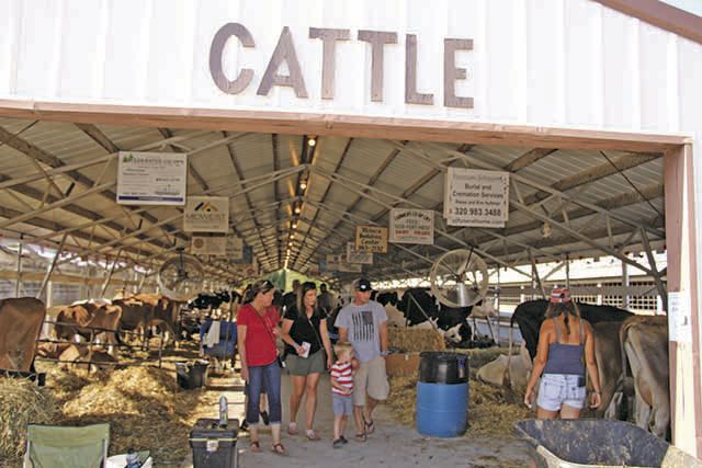 A Day at the Fair | Features | messagemedia.co