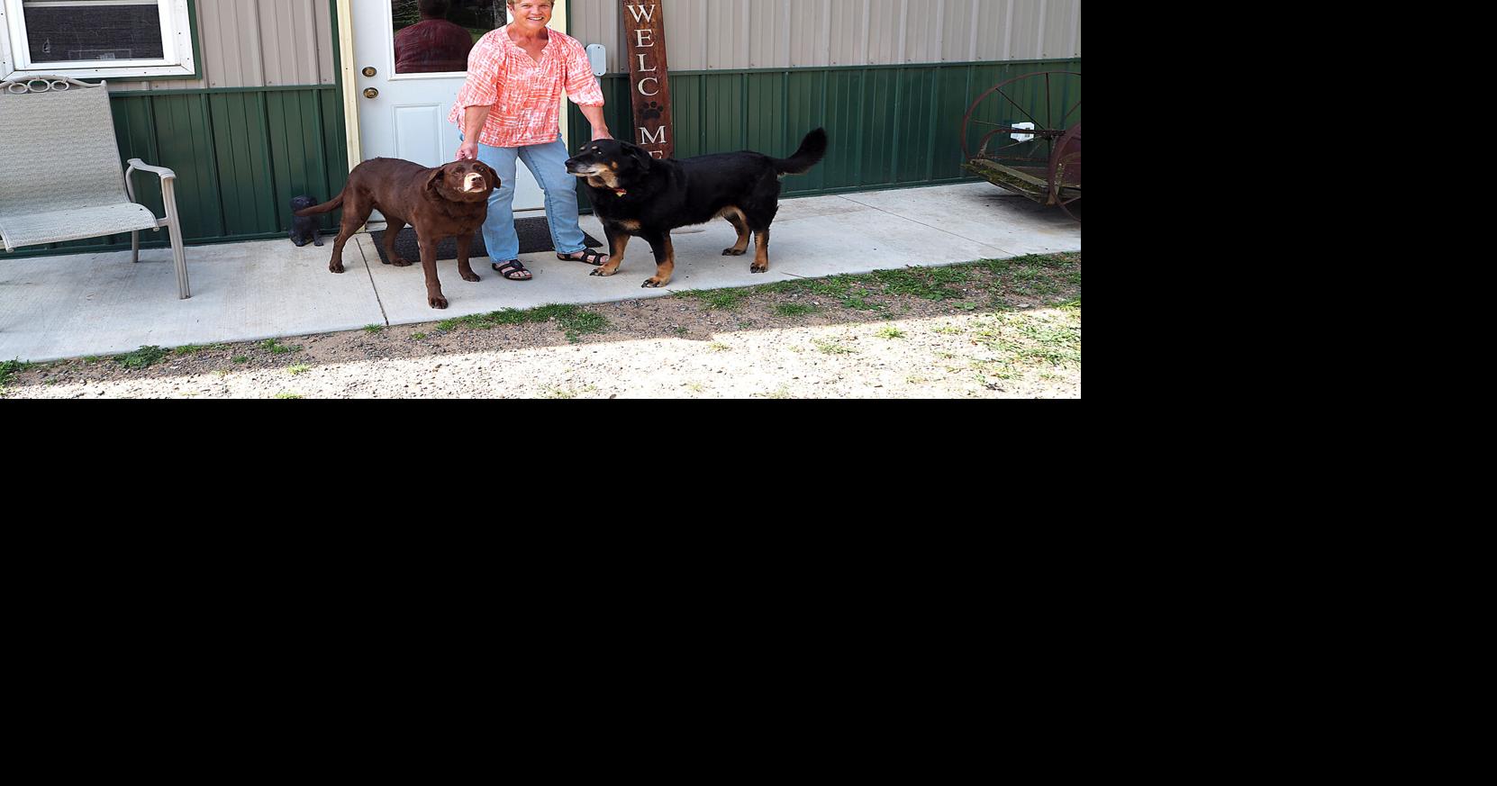 Play all day at the Howliday Inn | Business | messagemedia.co