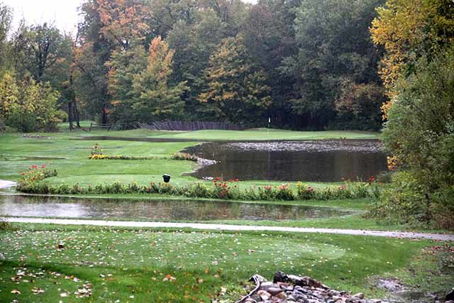 Wet land | Local | messagemedia.co