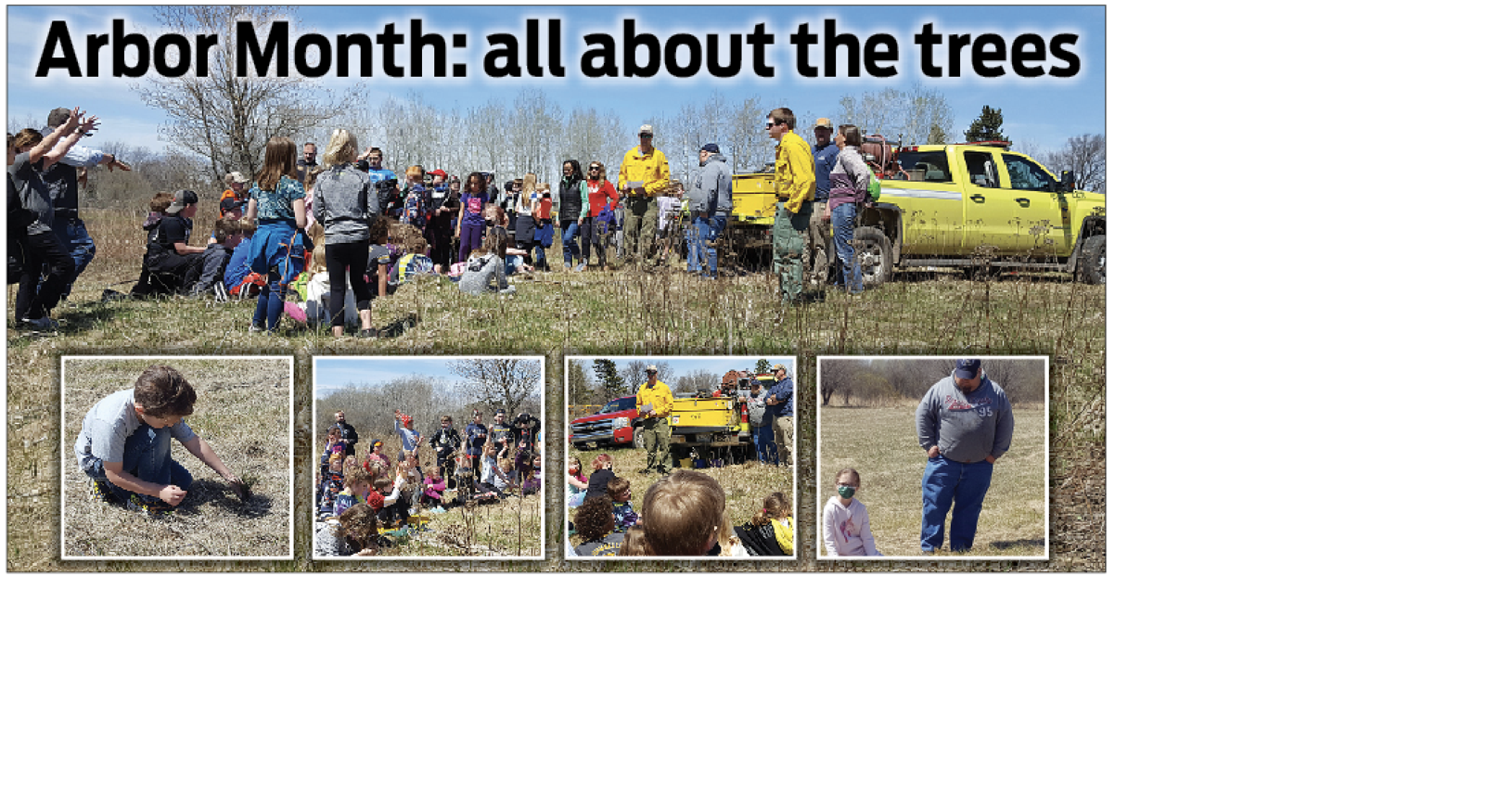 Arbor Month: all about the trees | Botany | messagemedia.co