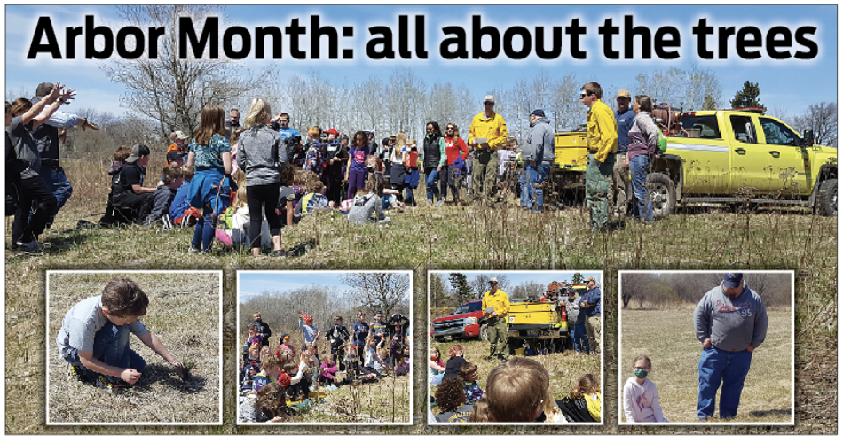 Arbor Month: all about the trees | Botany | messagemedia.co