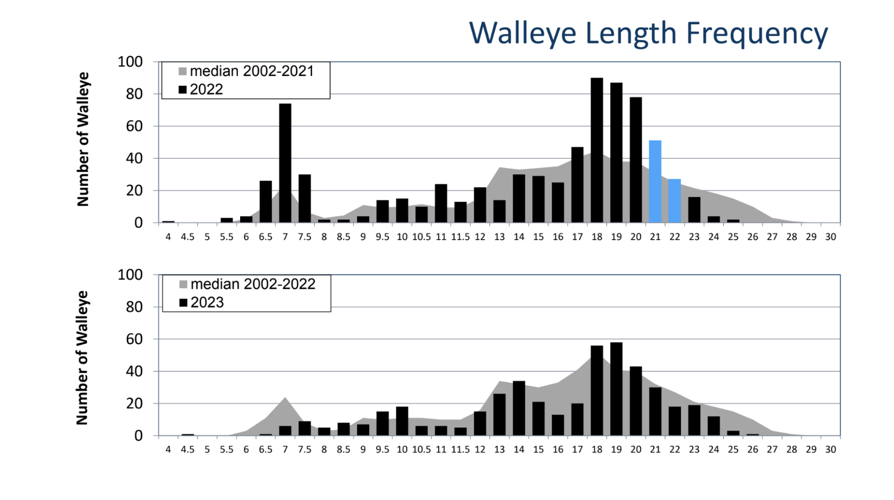 Fall netting results - walleye and forage population down from 2022 ...
