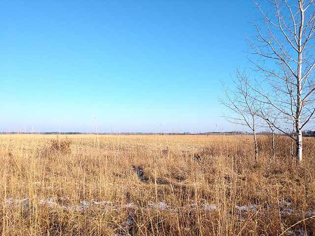 Disappearing forests, disappearing wildlife | Outdoors | messagemedia.co