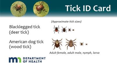 Protect yourself from tick bites and fish hook injuries | Health ...