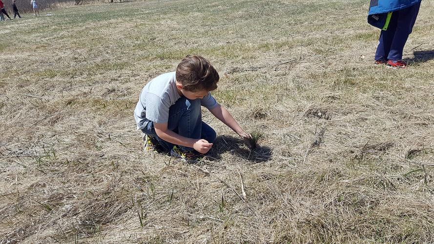 Arbor Month: all about the trees | Botany | messagemedia.co