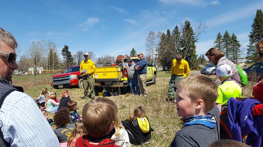 Arbor Month: all about the trees | Botany | messagemedia.co