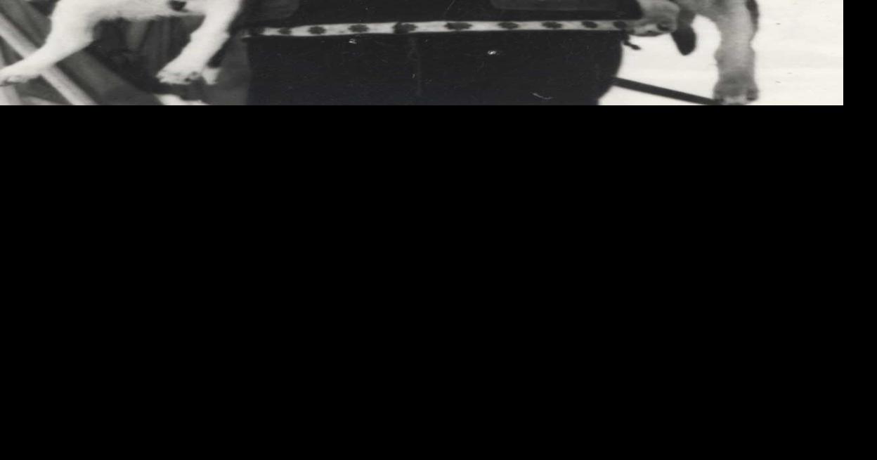 Robert "Bob" F. Lugo | Obituaries | messagemedia.co