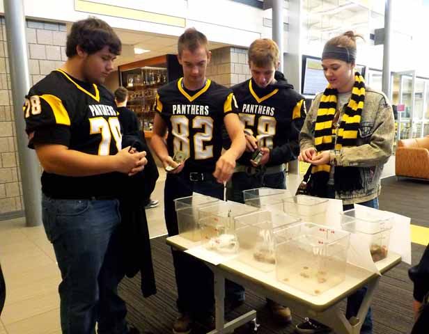 Onamia High School Homecoming | Education | messagemedia.co