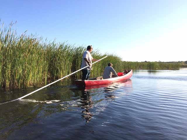 Good rice harvest in Onamia | Features | messagemedia.co