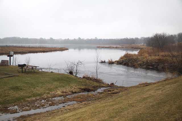 Bogs becoming worrisome | Local | messagemedia.co