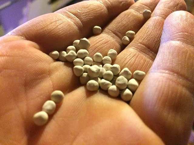 Sowing (pelleted) seeds | Home/Garden | messagemedia.co