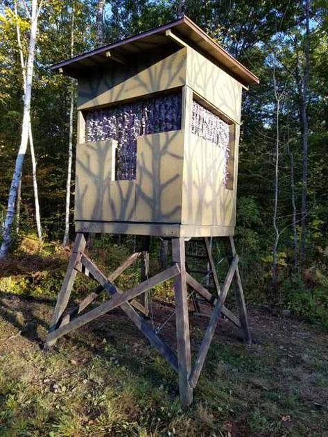 Building forts in the woods | Hunting | messagemedia.co