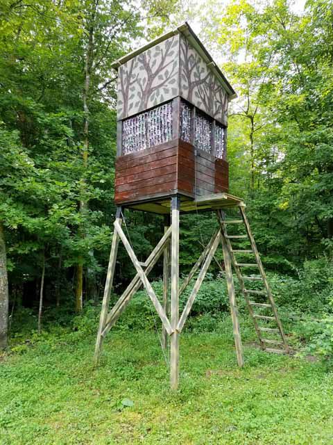 Building forts in the woods | Hunting | messagemedia.co