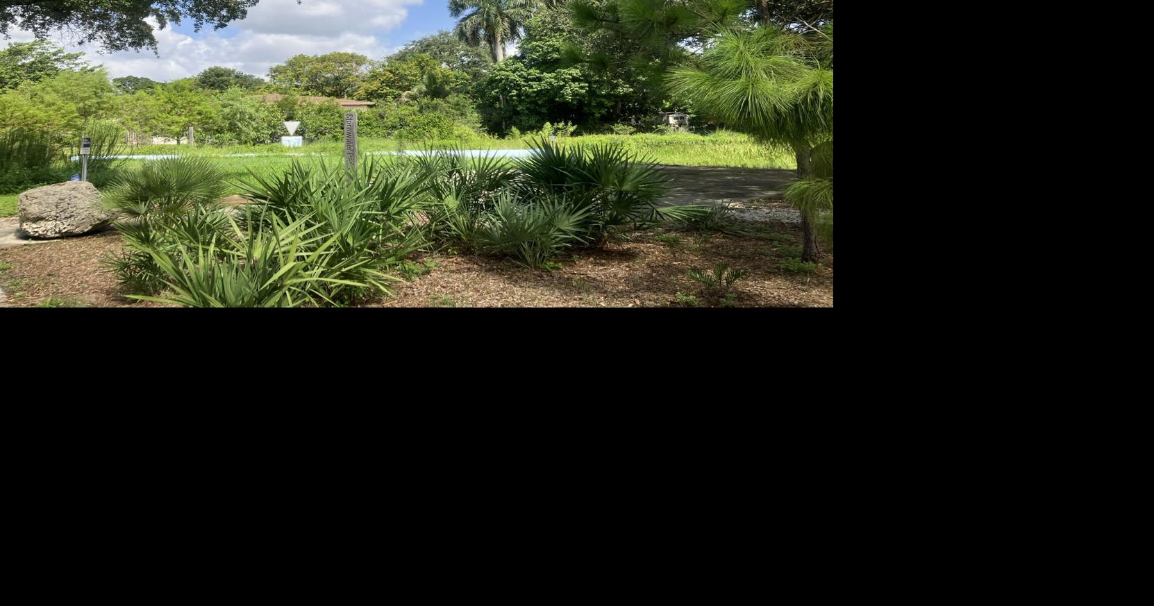 Community input needed for environmental project | Local News & Updates ...