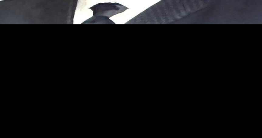 RUFUS JENKINS JR. | Obituaries | miamitimesonline.com