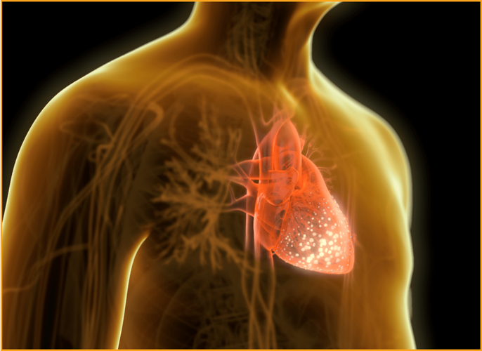The Heart Condition Hiding in Plain Sight | Health Wellness ...