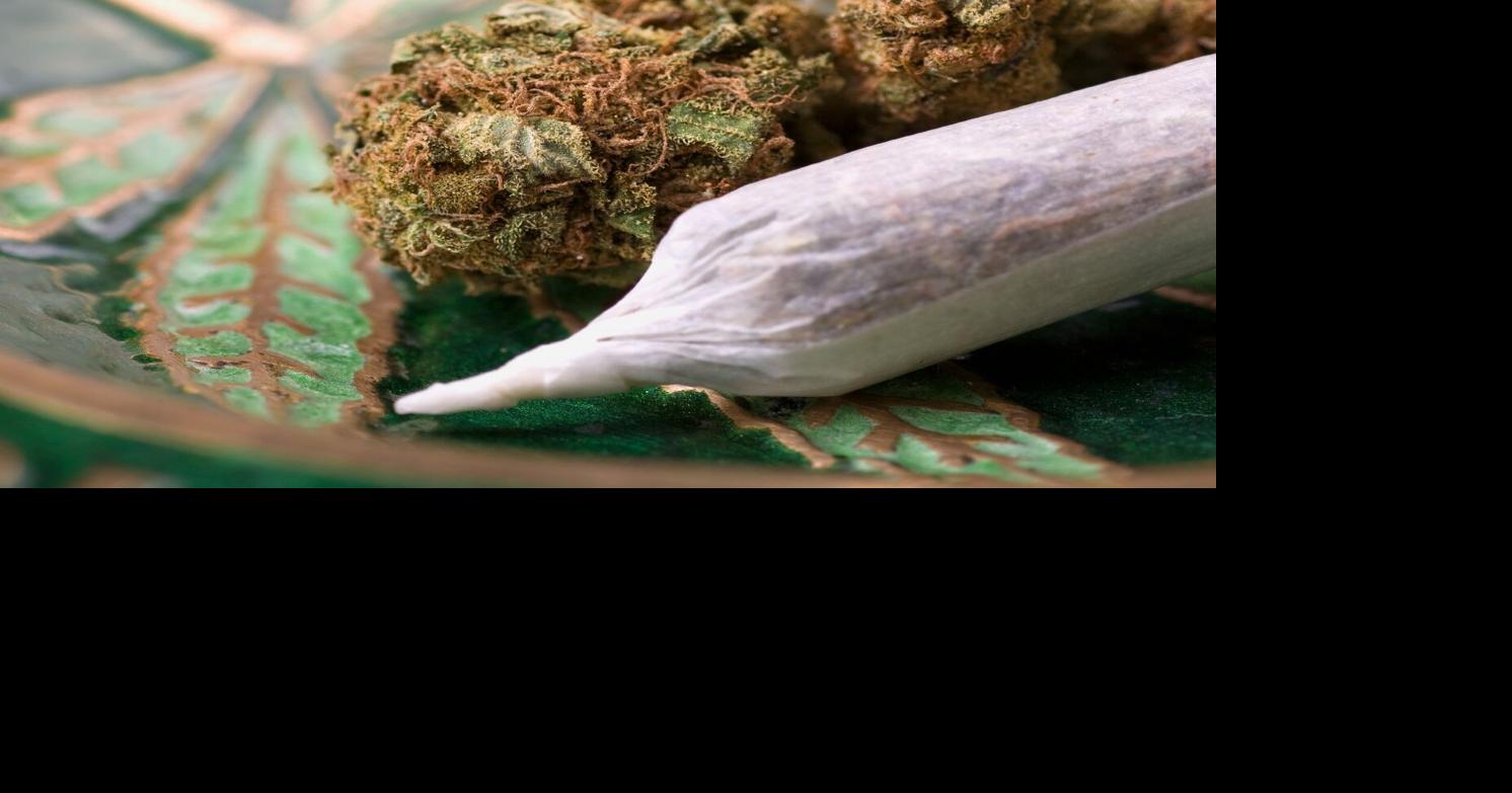 Florida Chamber poll shows support for legalizing pot crashing to 4 ...