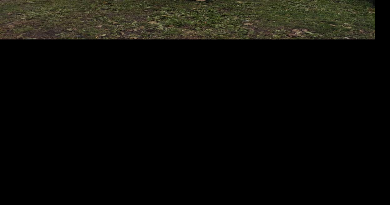 Fred Hampton childhood home gets historical landmark status | Arts ...