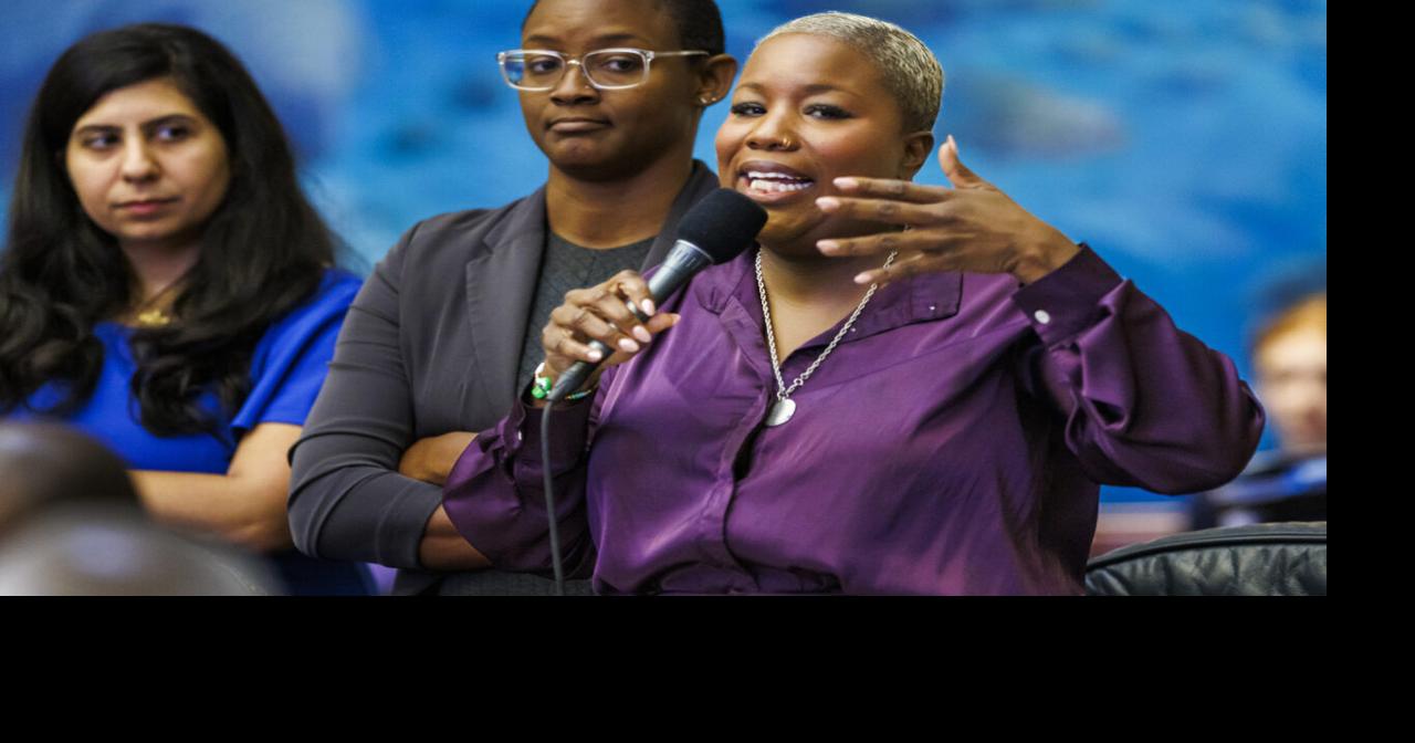 Michele Rayner launches bid to replace Darryl Rouson in Senate ...