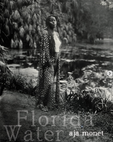 Poet Aja Monet's 'Florida Water' reflects on art, activism and ...