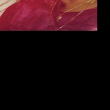 SANDRA STRACHAN-SMITH | Obituaries | miamitimesonline.com