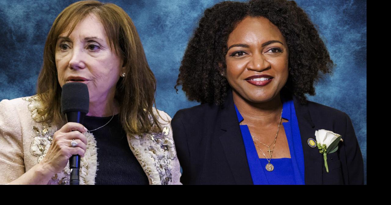 Florida Democrats fault Gov. DeSantis for misplaced priorities in final ...