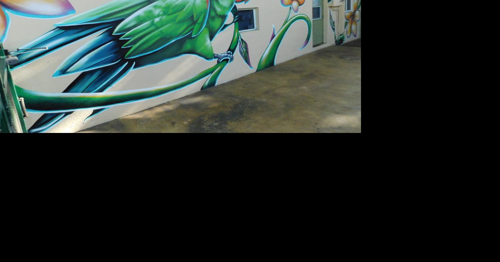 Little Haiti caught up in gentrification | South Florida News ...