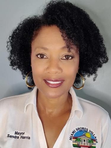 Resignations of Black lawmakers mount | Local News & Updates | The ...