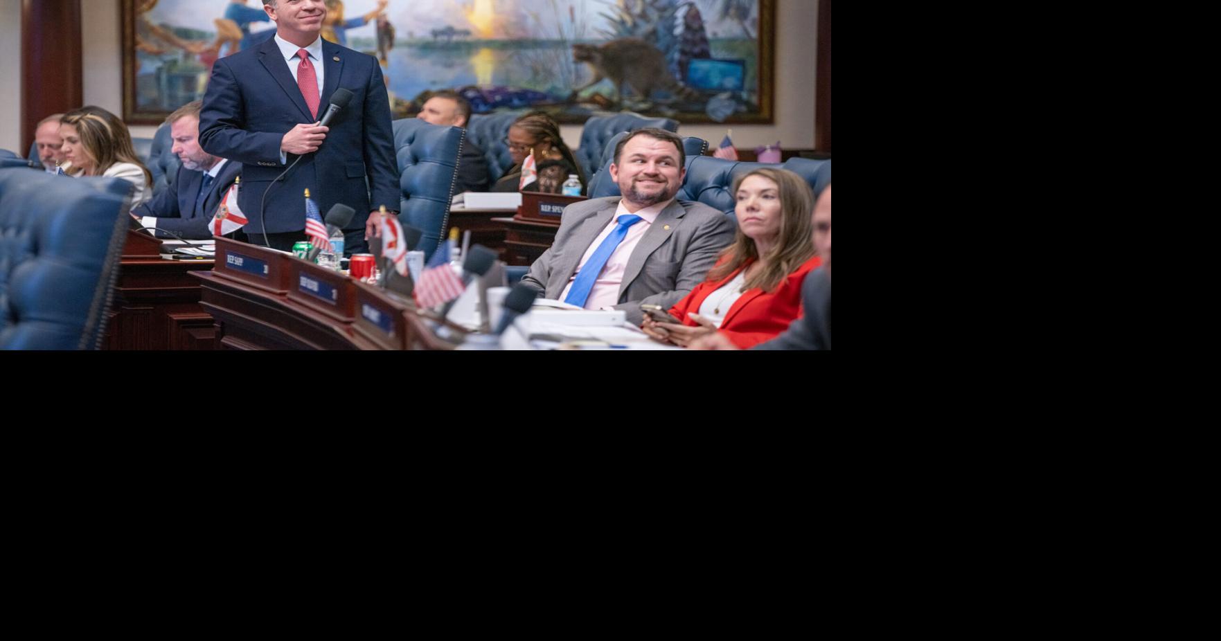 Noting ‘political risk,’ GOP House member reveals plan to cut property ...