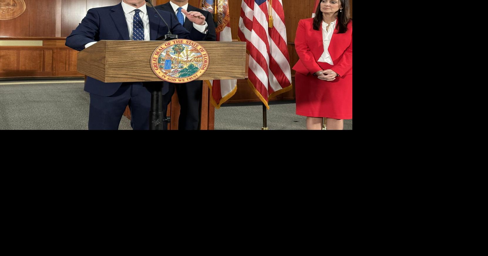 Resign or be removed: Paul Renner calls for Sheila Cherfilus-McCormick ...