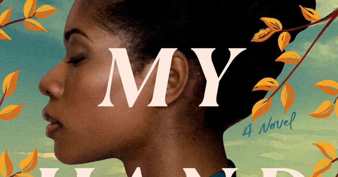 Based on a real-life court case, this book tells the tale slowly | Arts ...