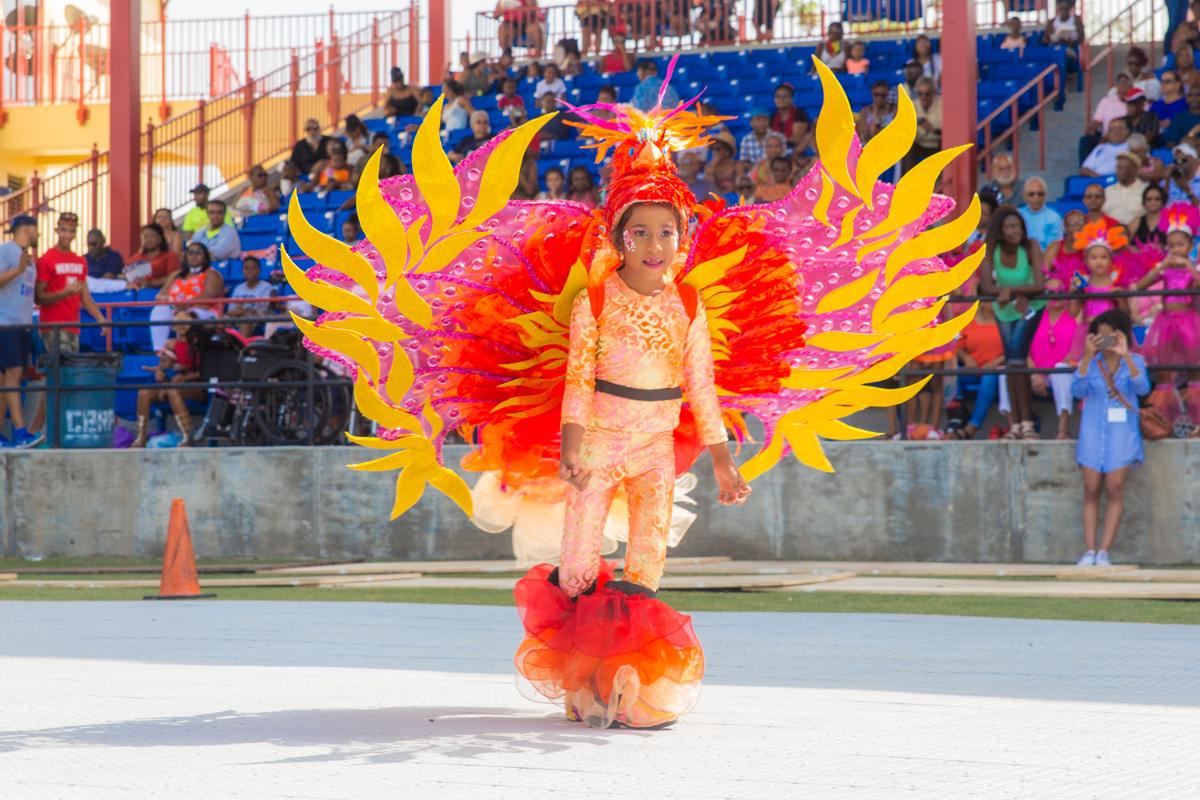 A street dance called Carnival | Lifestyles | miamitimesonline.com