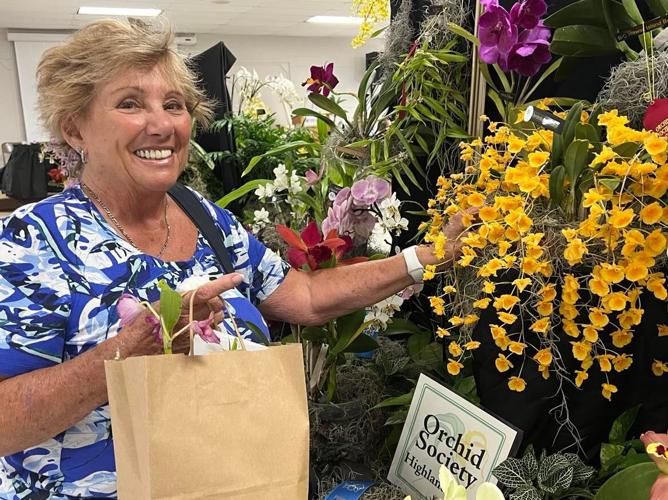 The Orchid Society of Highlands, Inc. presents 'Art in Bloom ...