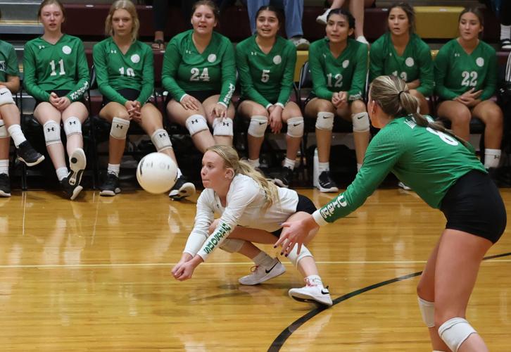 Green Dragons swept out of playoffs | Local | midfloridanewspapers.com