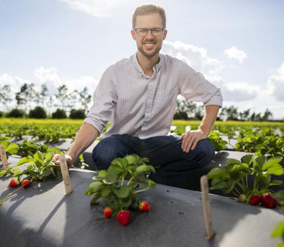 Peak strawberry season means more Florida-grown, flavorful fruit at the ...
