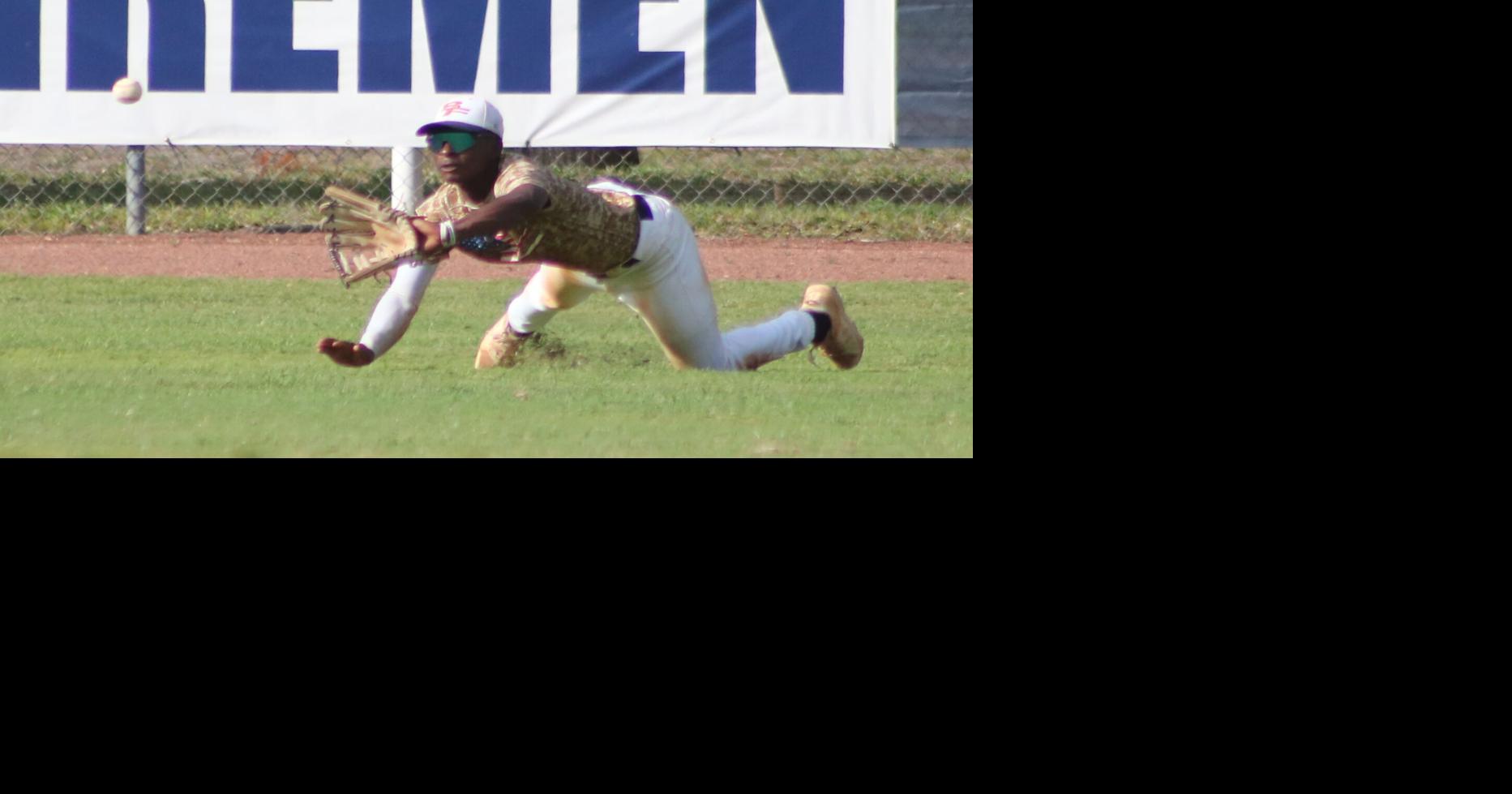 Panthers split with Vikings | Local | midfloridanewspapers.com